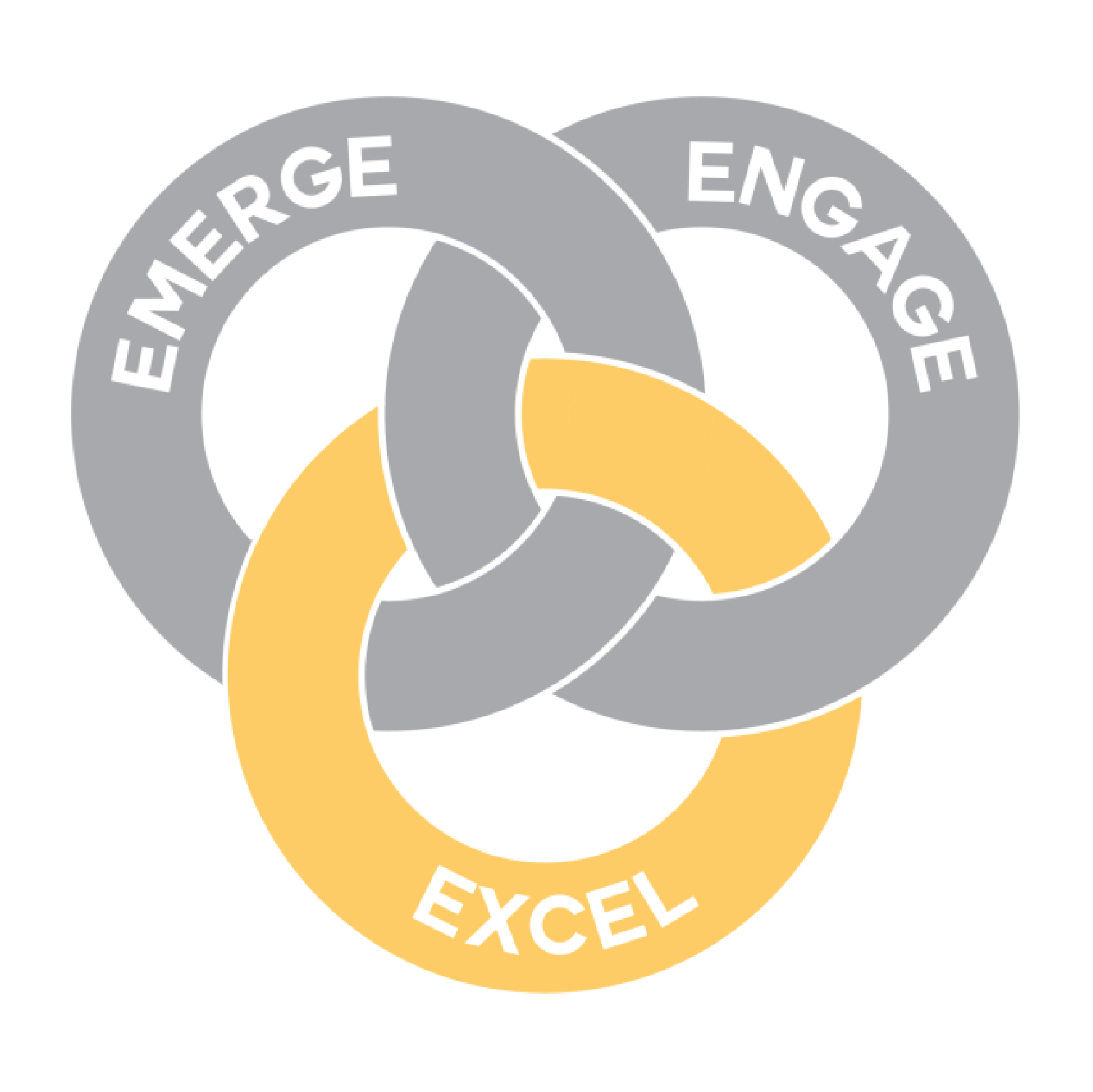 Circles of Leadership | Worcester State University