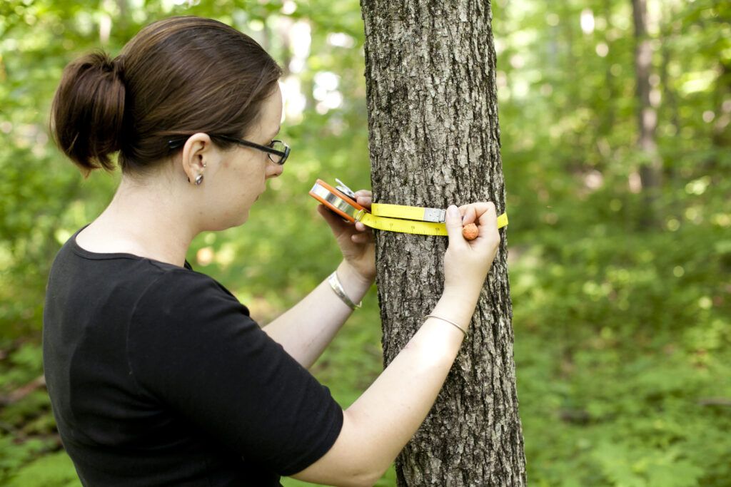 Earth, Environment, & Physics | Worcester State University