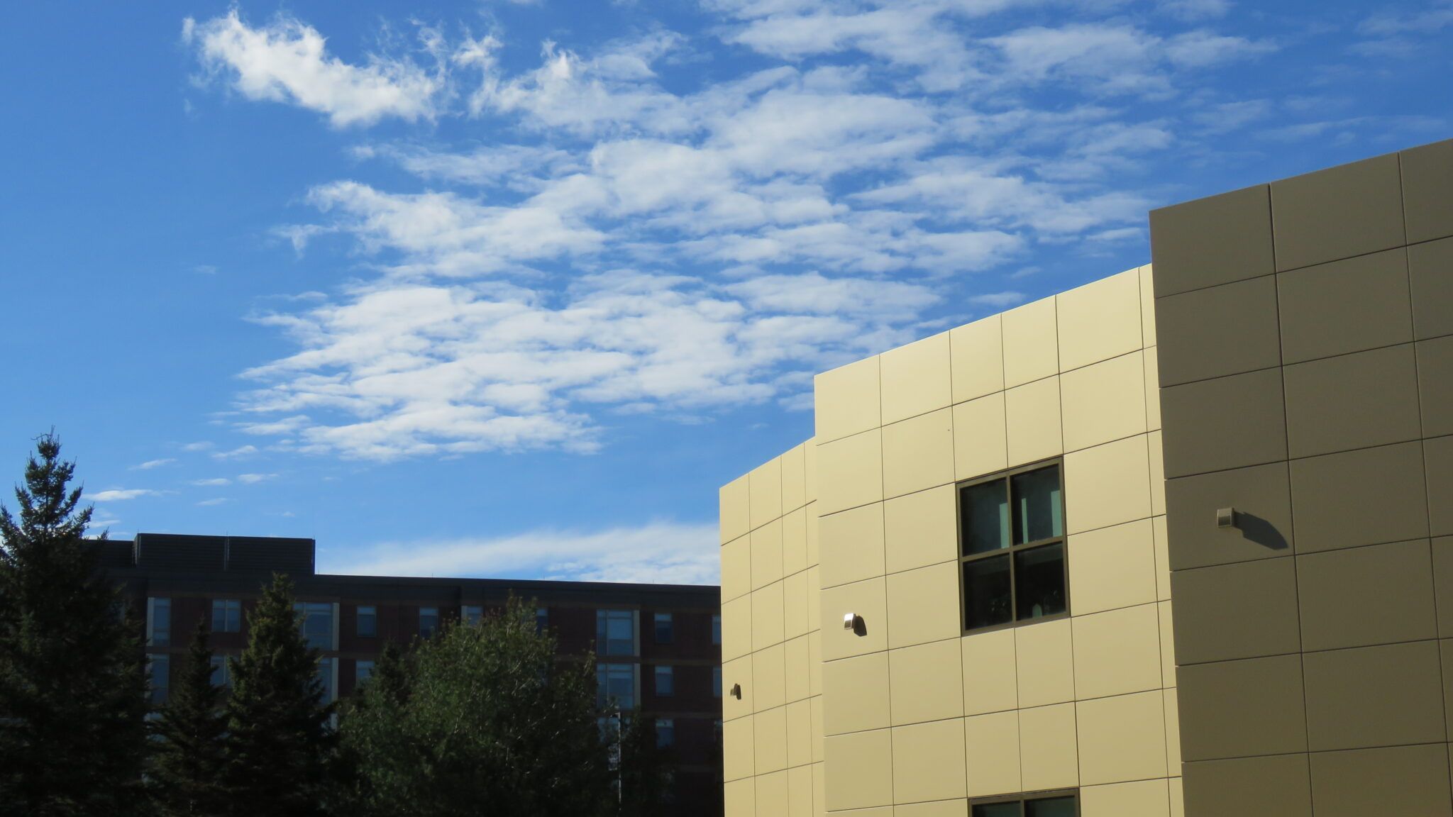 Library - Worcester State University